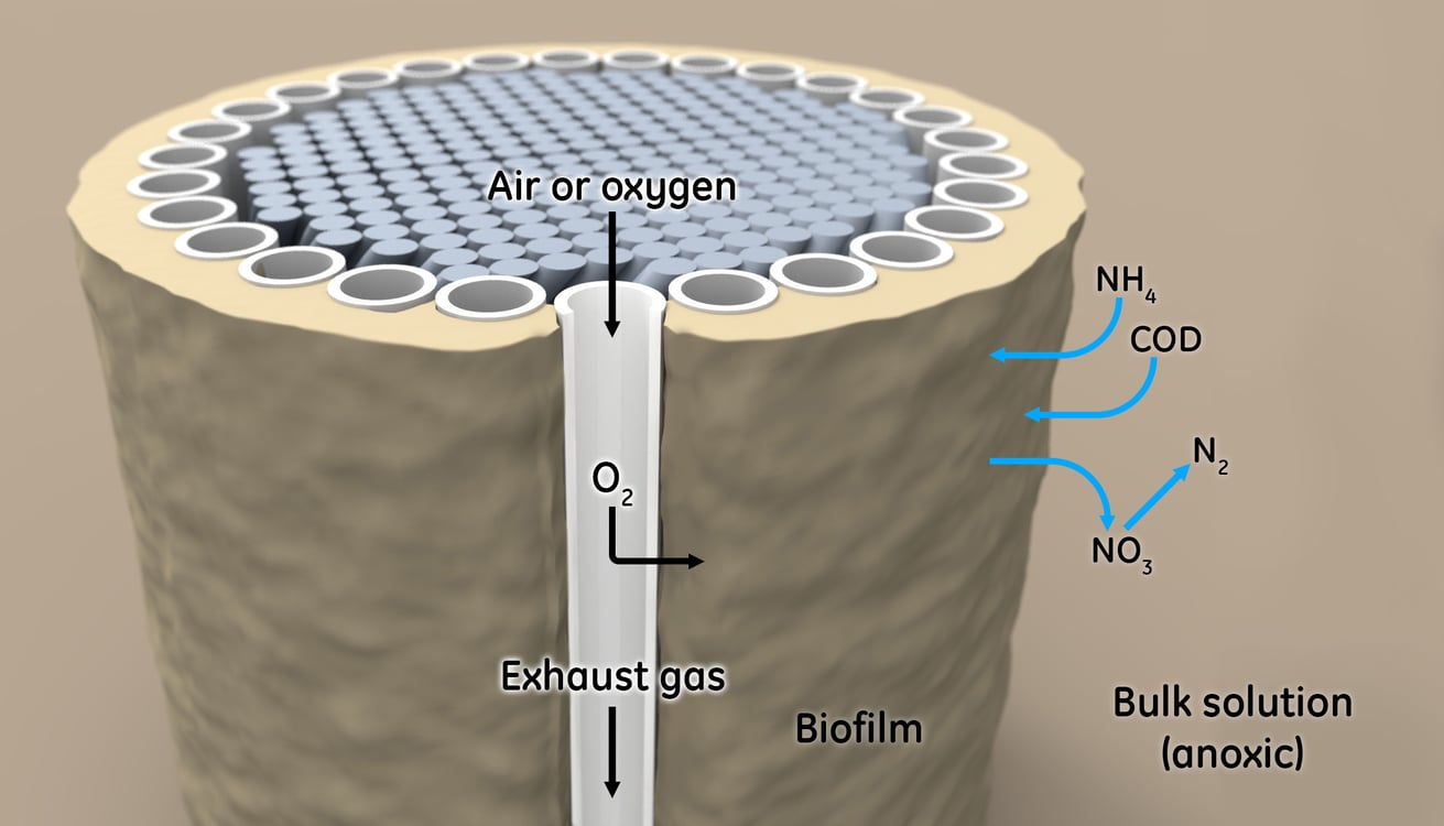 ZeeWeed* Membrane Bioreactor (MBR)